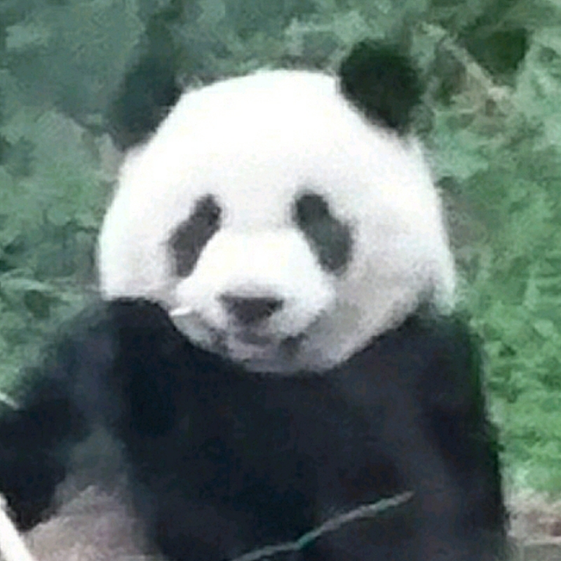 小老闆 - 1876189 - 浪LIVE直播 - 歌唱才藝直播平台