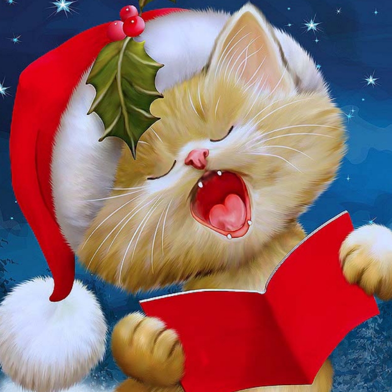 晴川 - 4384227 - 浪LIVE直播 - 歌唱才藝直播平台