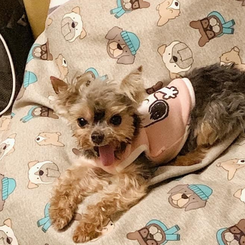 🦄ིྀ迷你菲ᥬ😍᭄池 - 5462039 - 浪LIVE直播 - 歌唱才藝直播平台