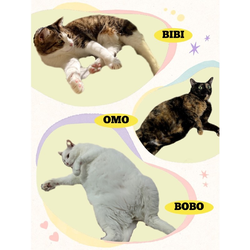 BI_BO_OMO - 6319229 - 浪LIVE直播 - 歌唱才藝直播平台